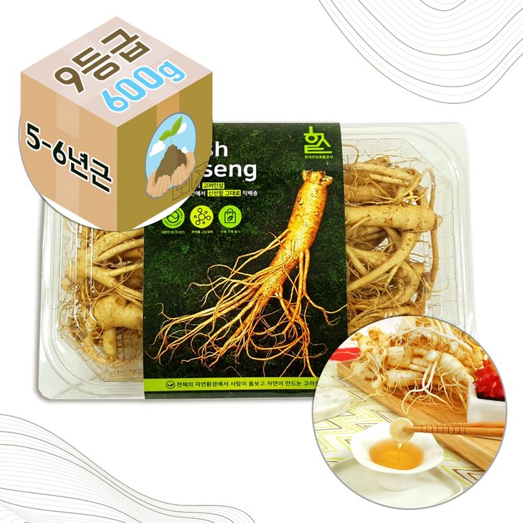 Gsday 고려 생 인삼 수삼 4 6년근 9호 요리용 600g 홈플러스 택배배송