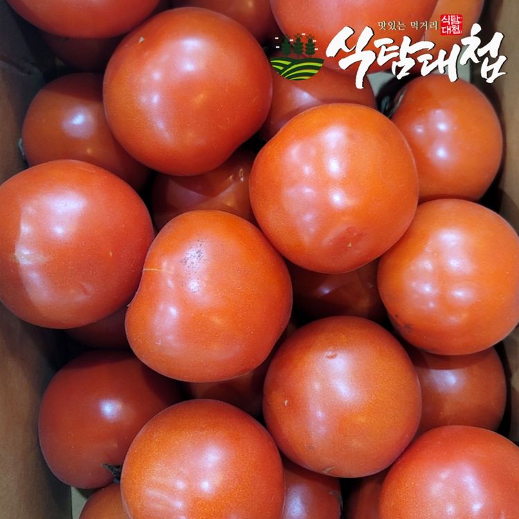 유럽종 완숙 찰 토마토 5kg 30 35개 개당150g내외 홈플러스 택배배송