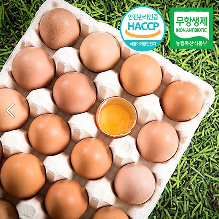 무항생제haccp 농장직송 웰굿 유황 계란 15구1판대란 홈플러스 택배배송