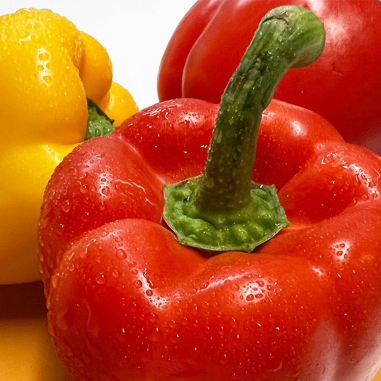 파프리카 샐러드용 단단한 못난이 혼합 파프리카 3kg 홈플러스 택배배송