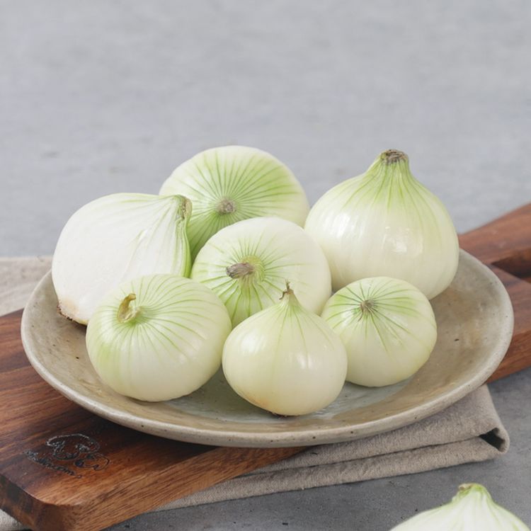 산지직송 전라도 햇 흰양파 10kg소장아찌용 개당 40 100g 홈플러스 택배배송