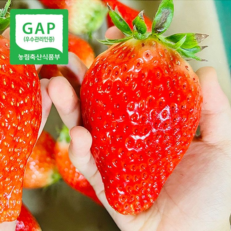 산지직송 Gap인증 논산 달콤한 킹스베리 딸기 400g7 8과왕과 홈플러스 택배배송