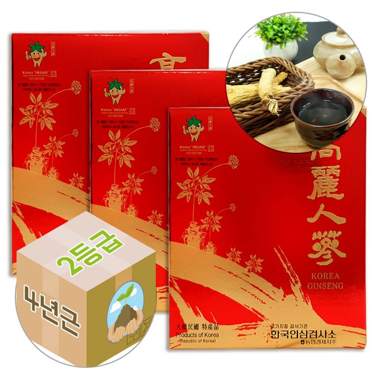 Gsday 금산 고려 백삼 피직 4년근 인삼 2품 45편 900g 홈플러스 택배배송