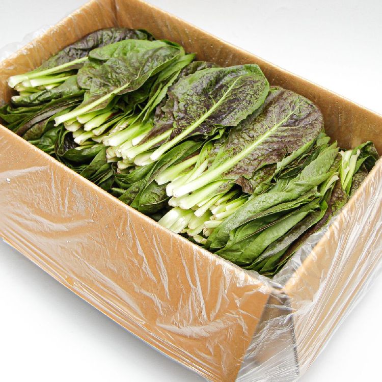 국내산 특품 치콘 반박스 1kg 쌈채소 쌈야채 샐러드채소 모듬쌈 가락시장 당일새벽경매 홈플러스 택배배송