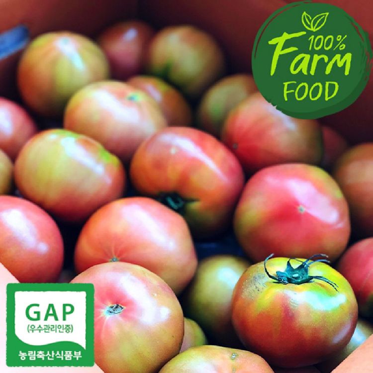 [잇츠팜] GAP인증 경주안강토마토 10kg(로얄과/1~2번) | 홈플러스 택배배송