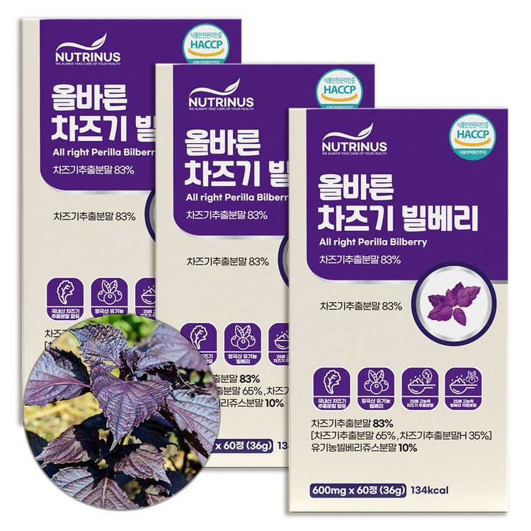 뉴트리 차즈기 추출물 루테올린 빌베리 영양제 180정 홈플러스 택배배송
