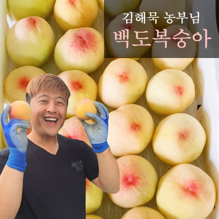 6월말부터 출고 참다올 산지직송 예천 백도복숭아 25kg특대과 홈플러스 판매자택배