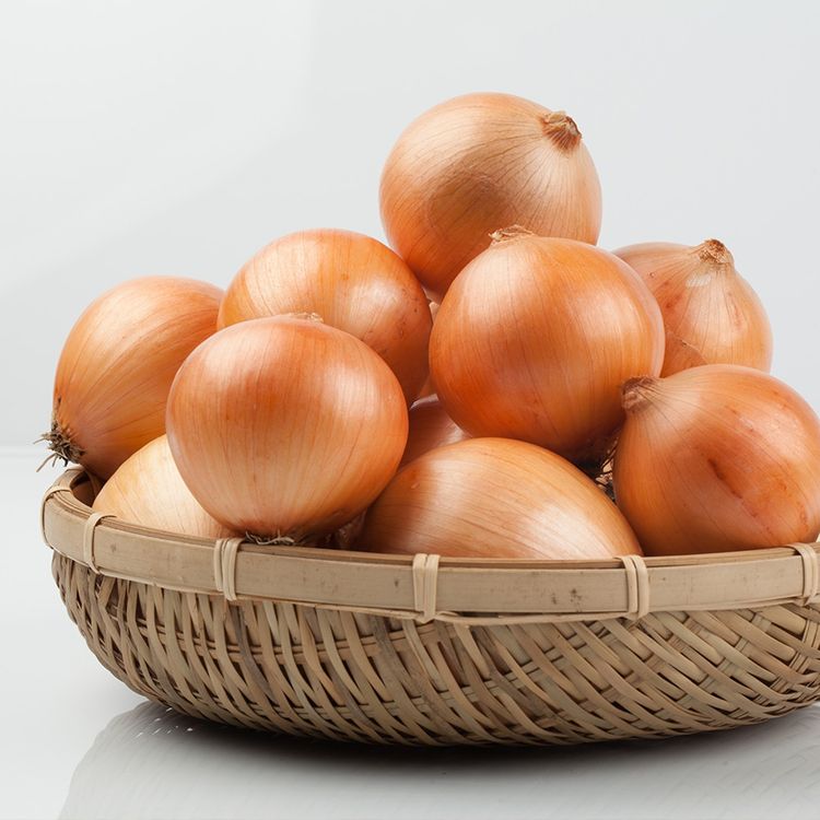 햇양파 만생종 양파 10kg 중 홈플러스 택배배송