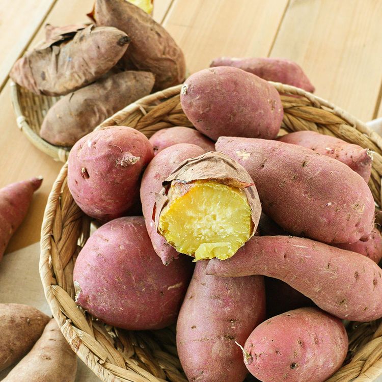남도장터 더디오 황토 꿀고구마 한입 5kg 홈플러스 택배배송