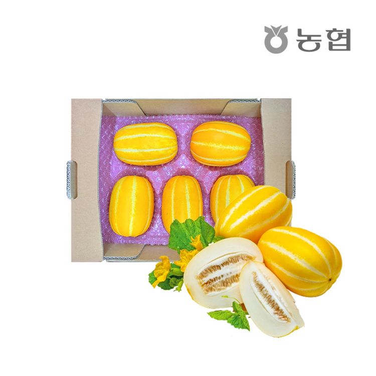 산지직송 농협 아삭달콤 성주참외 정품 2kg 등급 특 홈플러스 판매자택배