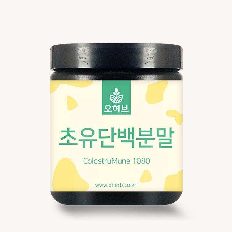 초유단백질분말 100g 단백질 프로틴 보충제 쉐이크 웨이 홈플러스 택배배송