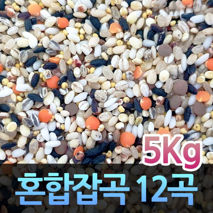 건강한 혼합잡곡 혼합곡 잡곡쌀 12곡 잡곡5kg 홈플러스 택배배송