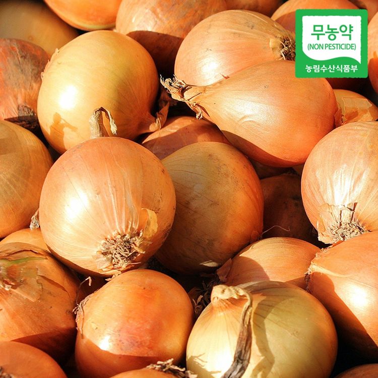 산지직송 전남 무농약 햇양파 5kg 홈플러스 택배배송