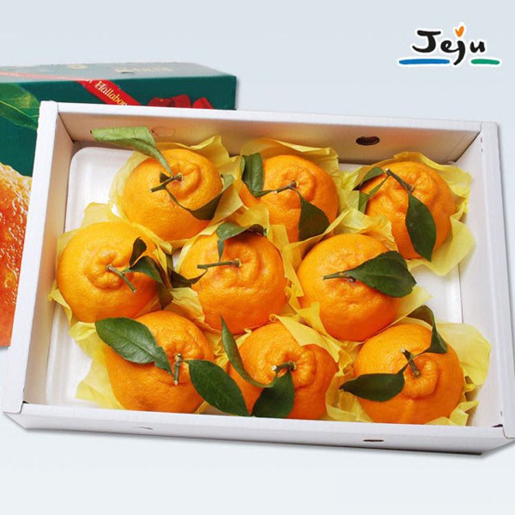 [푸토리] 햇살 가득 머금은 자연애 한라봉 3kg(7~11) | 홈플러스 택배배송