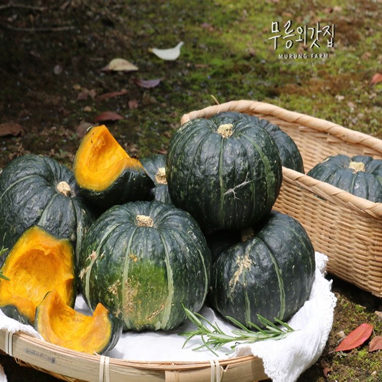 제주 제주도 제철 미니단호박 밤호박 보우짱 3kg 무릉외갓집 홈플러스 택배배송