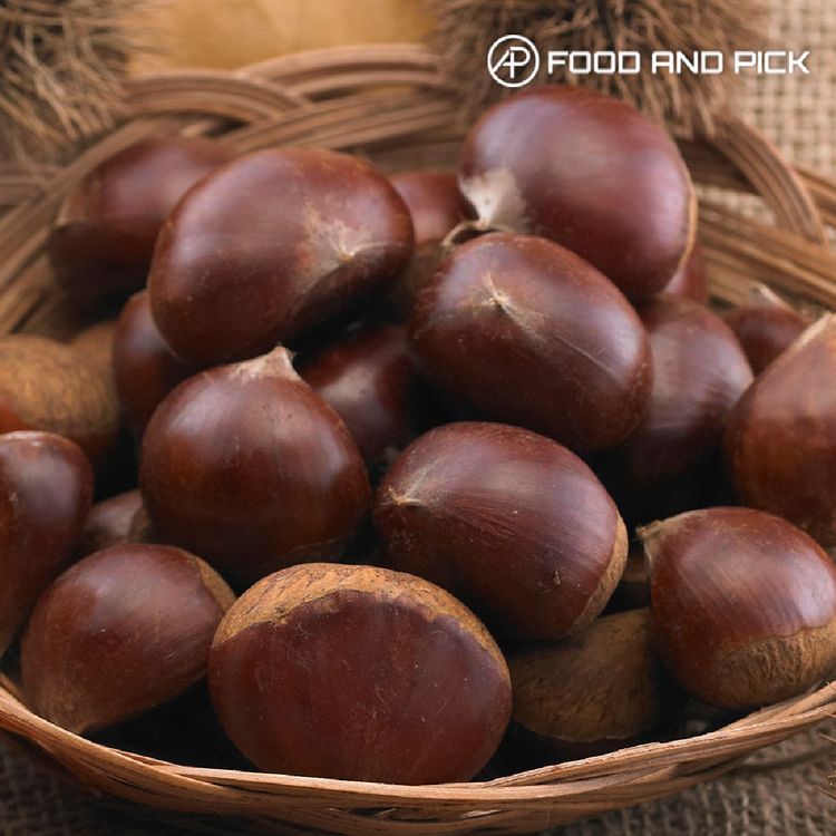 푸드앤픽 부여햇알밤 5kg 특 생율밤 찐밤 꿀밤 홈플러스 택배배송