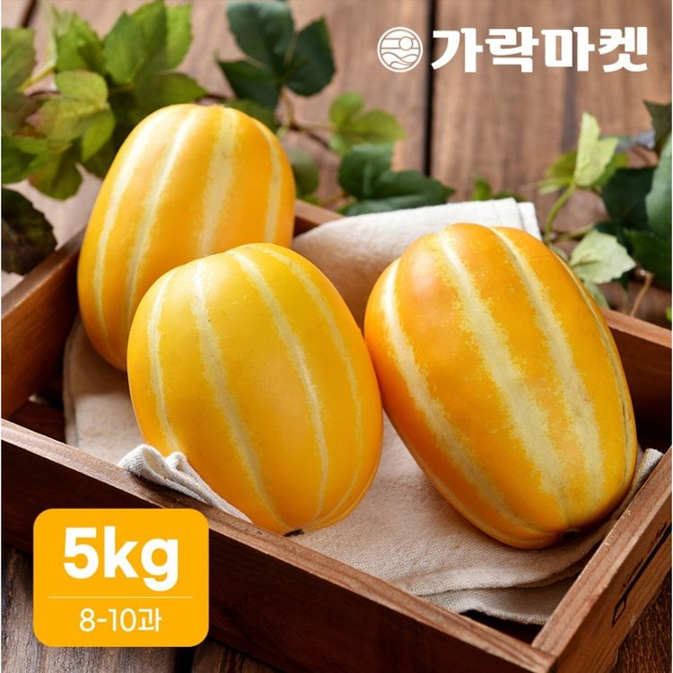가락마켓 가야산 특품 고당도 성주참외 5kg8 10과 홈플러스 택배배송