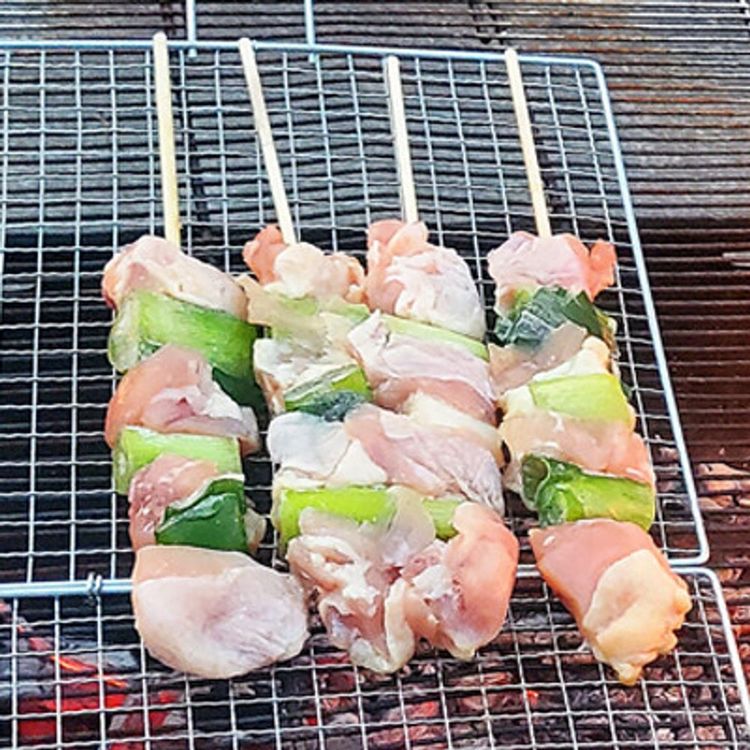 드라이아이스 O 더바삭한 생꼬치 파닭 120gx10개 홈플러스 택배배송