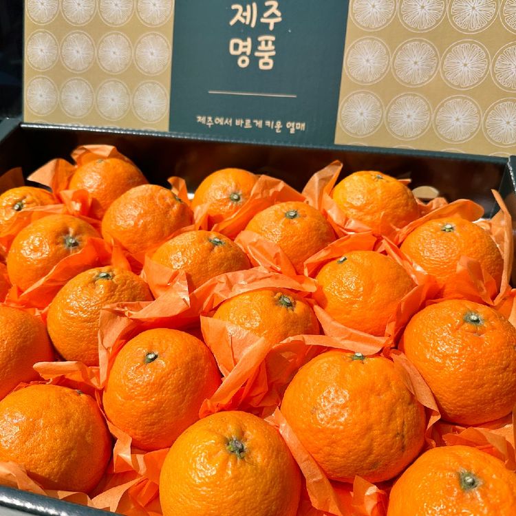산지직송 제주 새콤달콤 맛있는 카라향 5kg 가정용 홈플러스 택배배송
