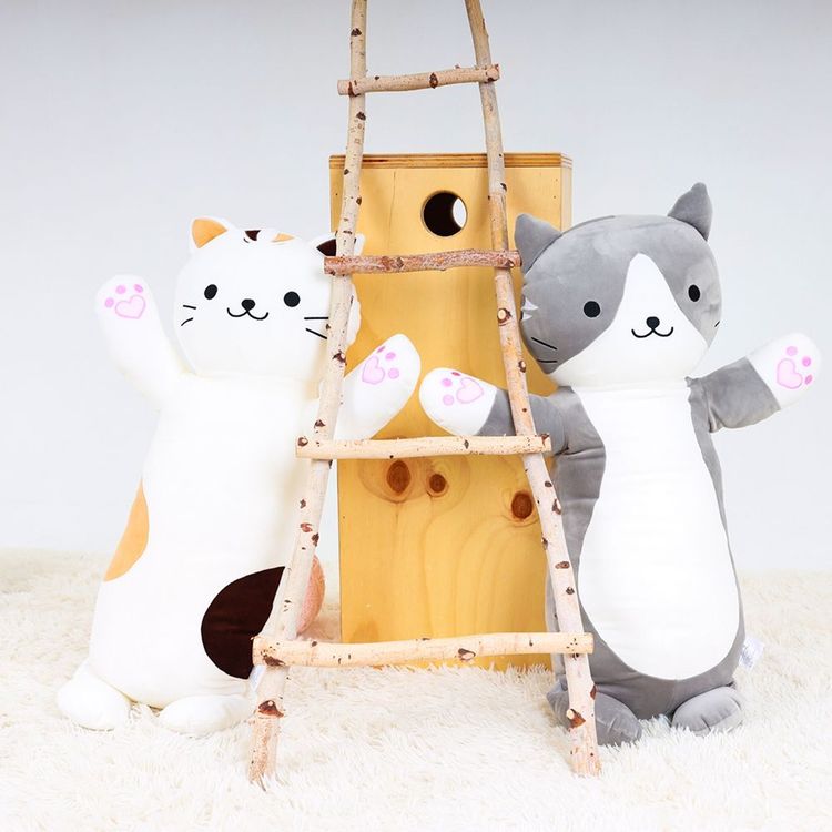 라이디 고양이 바디필로우 애착인형 홈플러스 택배배송