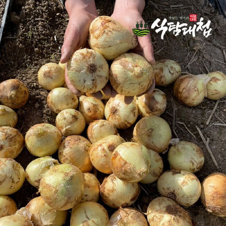 식탐대첩 국내산 무안양파 5kg 특대혼합 홈플러스 택배배송