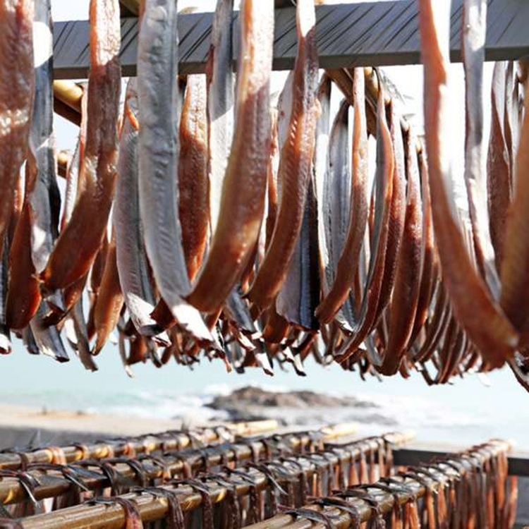 산지직송 구룡포 과메기20쪽야채세트 홈플러스 택배배송