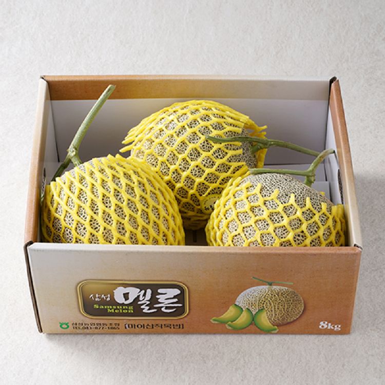 산지직송 머스크 멜론 선물세트 4kg2수 홈플러스 택배배송