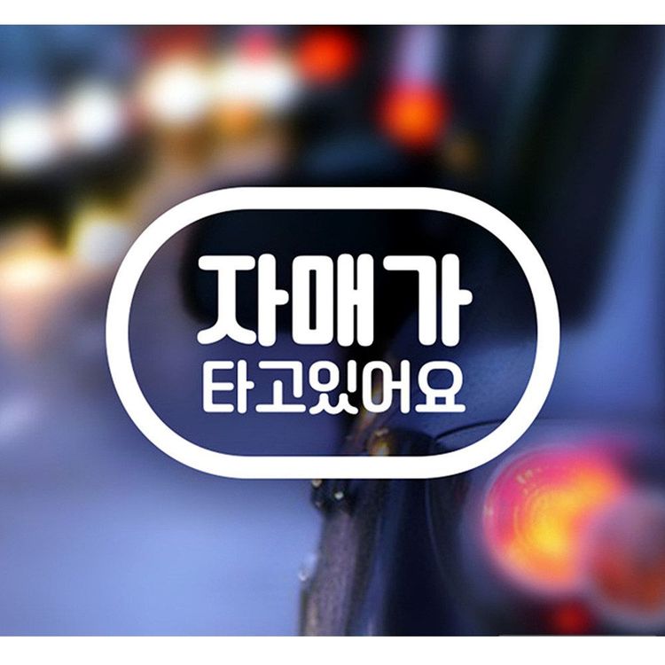 캡슐문구 자매가 타고있어요 자동차스티커 화이트 홈플러스 택배배송