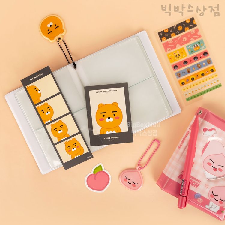 카카오프렌즈 2단 포토 콜렉트북 1p 라이언 어피치 포토카드 포켓앨범 보관 미니앨범 사진 홈플러스 택배배송