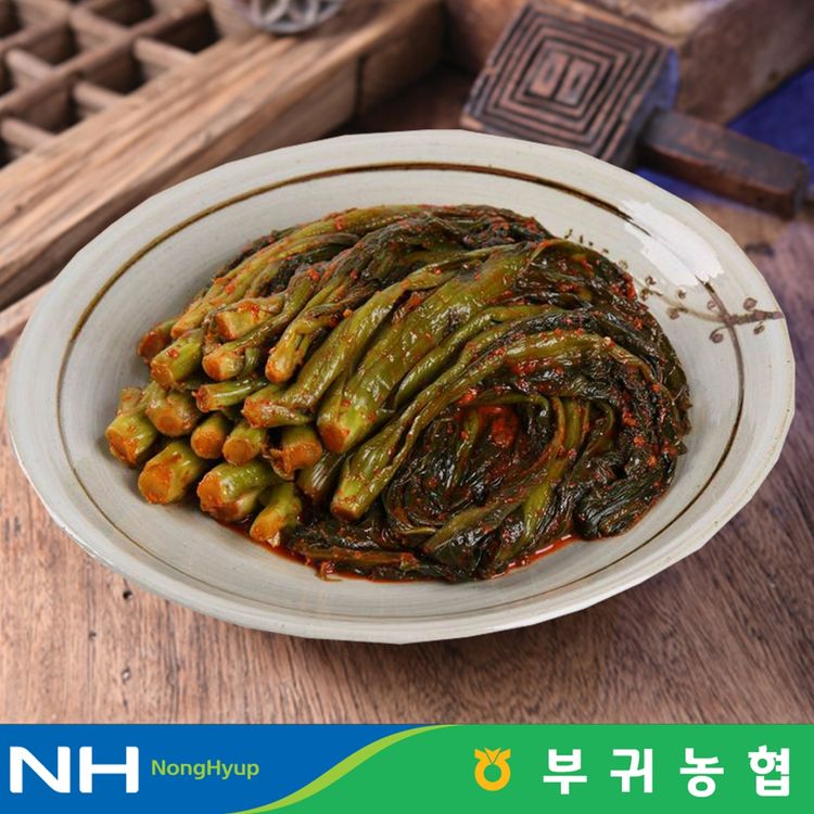 한국농협 마이산김치 국내산 갓김치 5kg 홈플러스 택배배송