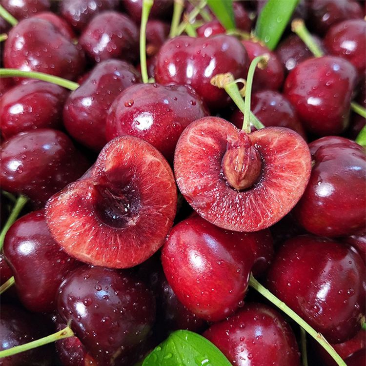항공직송 상큼달콤 과즙이 풍부한 고당도 생 체리 1kg(9-9.5R) | 홈플러스 택배배송