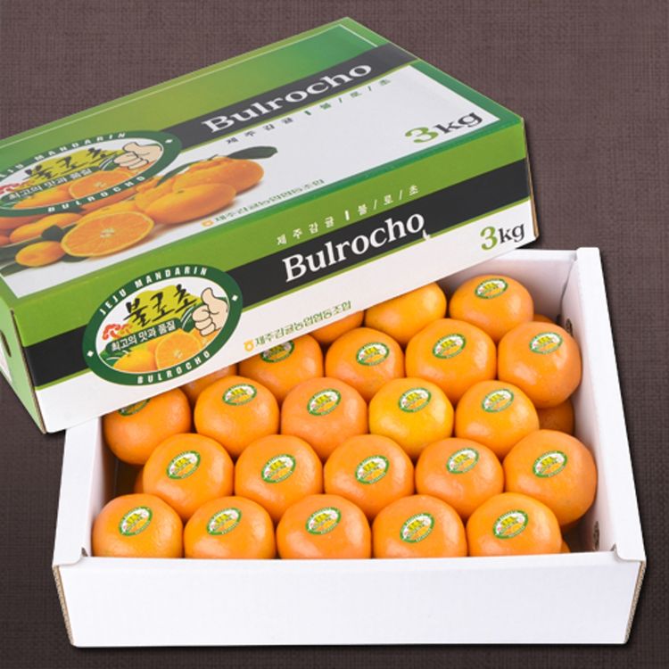 자연느낌그대로 제주 불로초감귤 3kg 홈플러스 택배배송
