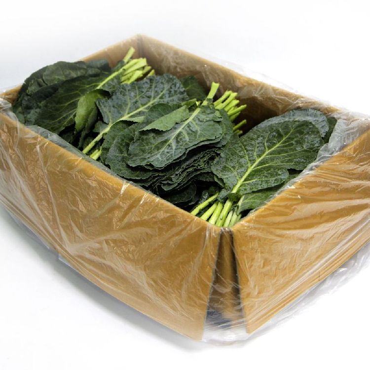 국내산 쌈채소 케일 반박스 1kg 쌈야채 쌈채소 가락시장 당일새벽경매 홈플러스 택배배송