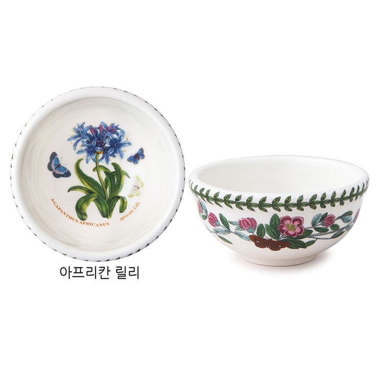 포트메리온 보타닉가든 공기소 11cm 1p C 03아프리칸 릴리 홈플러스 택배배송