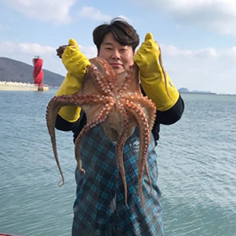 2021추석 남도장터 청해포구 자연산 손질 돌문어 1 6마리손질전 15kg 홈플러스 택배배송