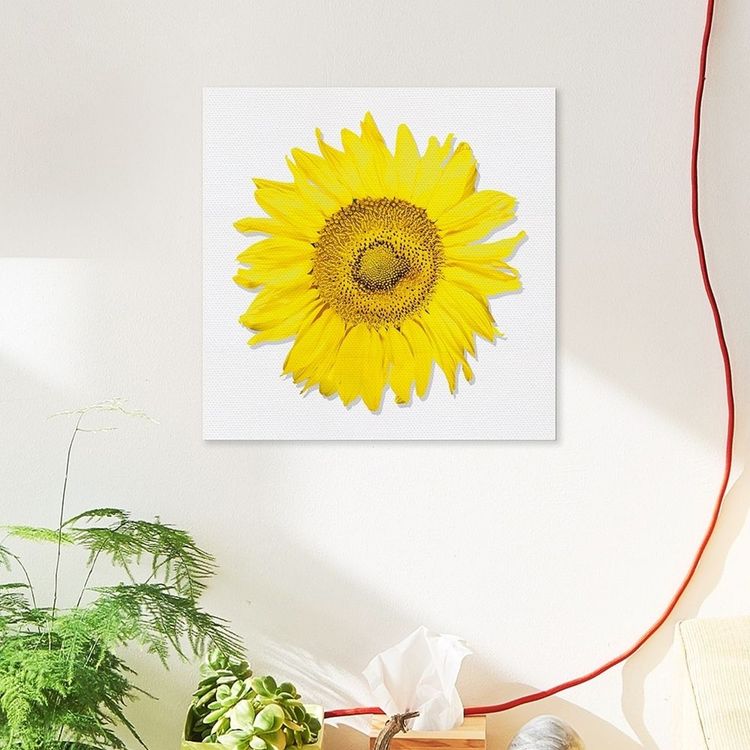 노랑 N1084a65066 해바라기 액자 35x35cm 홈플러스 택배배송