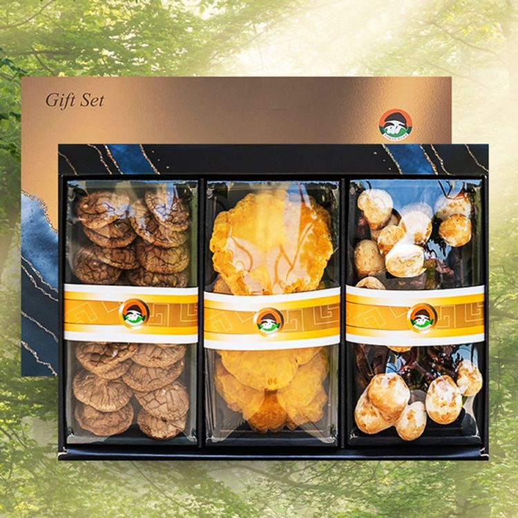 프리미엄 상황버섯 3종세트상황120g영지80g표고100g 홈플러스 택배배송
