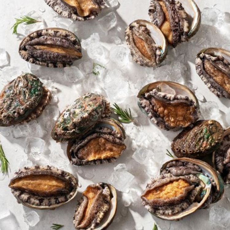 남도장터 다시마수산 완도 활전복 1kg11 12미 보자기선물포장 홈플러스 택배배송