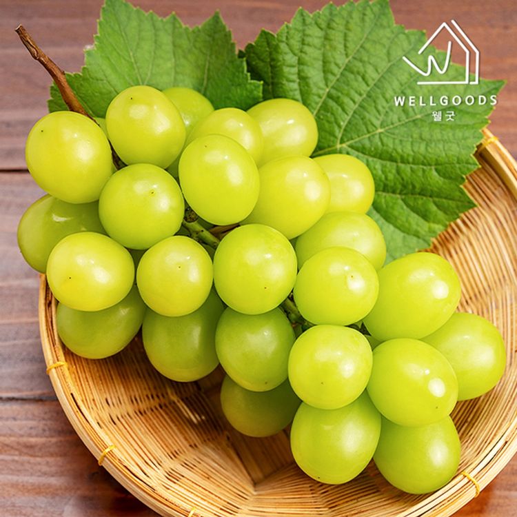 국내산 프리미엄 달콤한 샤인머스켓 1kg2수 홈플러스 택배배송
