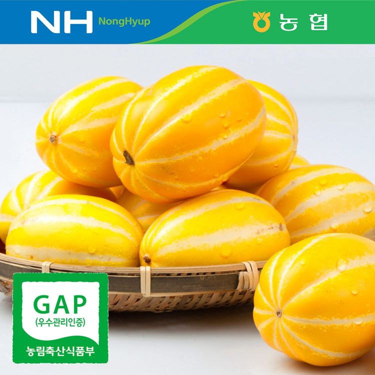 농협 아삭달콤 성주참외 실속형 3kg 등급 상 홈플러스 택배배송