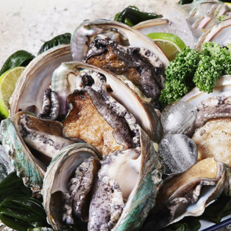 남도장터 다시마수산 완도 활전복 1kg7 8미 보자기선물포장 홈플러스 택배배송