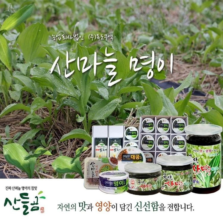 프레쉬푸드 국내산 산마늘 명이절임 95g 홈플러스 택배배송