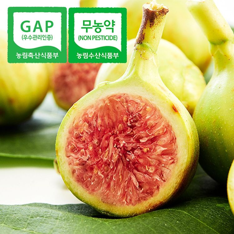 무농약 Gap인증 당일수확 전남 고당도 청 무화과 4kg56 72과 홈플러스 택배배송