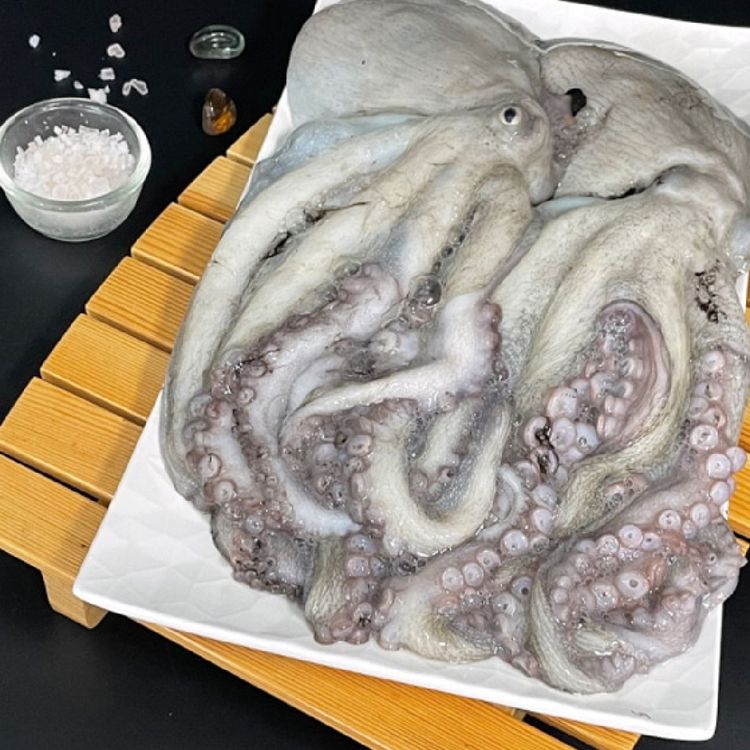 여수 돌문어 생물 1kg 홈플러스 택배배송