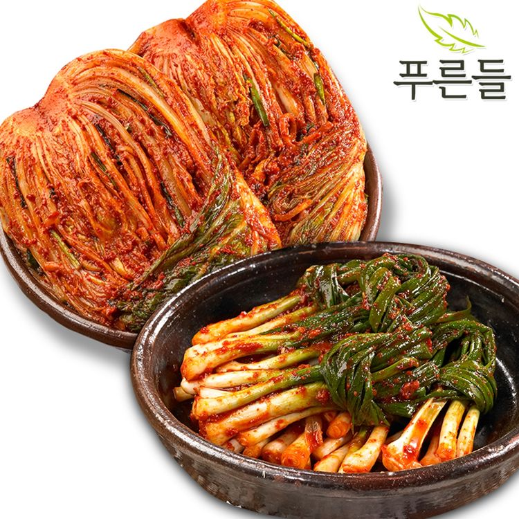 푸른들 전라남도 함평김치 포기김치 2kg 파김치 2kg 홈플러스 택배배송