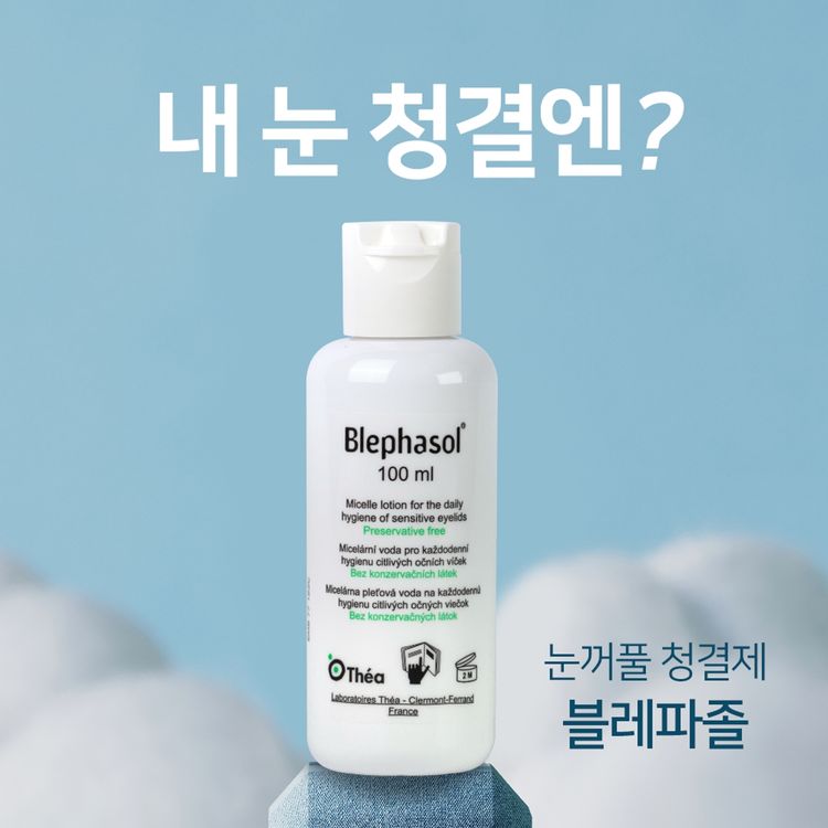 블레파졸 100ml 눈꺼풀 청결제 이물질 오염방지 눈청결 무색 무향 홈플러스 택배배송