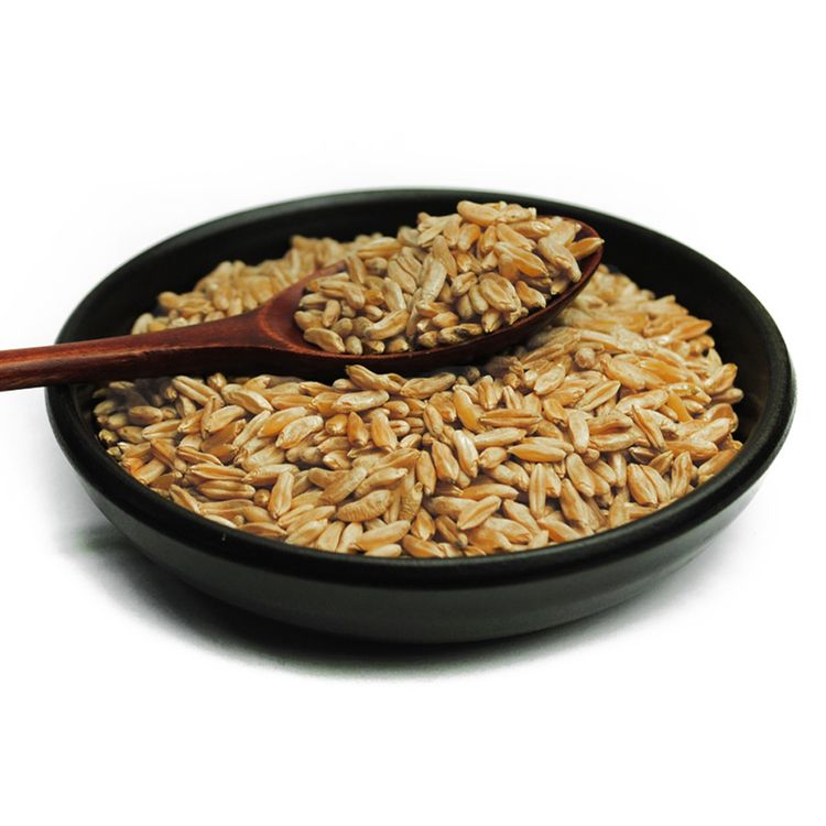 카무드 카무드쌀 호라산밀 카무드밥 터키산 혈당관리 식이섬유 1kg 5개 홈플러스 택배배송