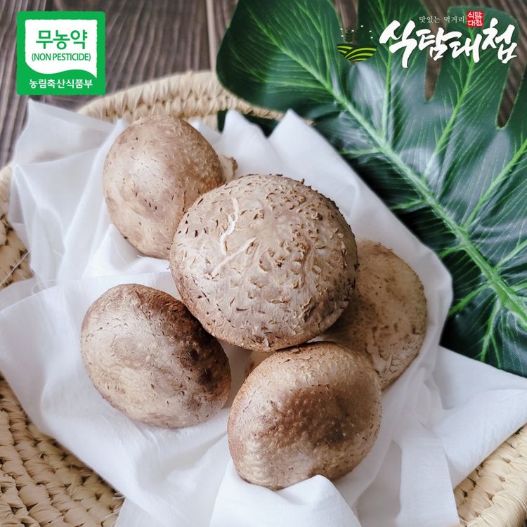 식탐대첩 에코팜 무농약 표고버섯 180gx5팩 홈플러스 택배배송