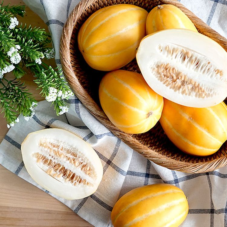 2024년 성주참외 가정용 참외 1kg 대과2~3과 홈플러스 택배배송