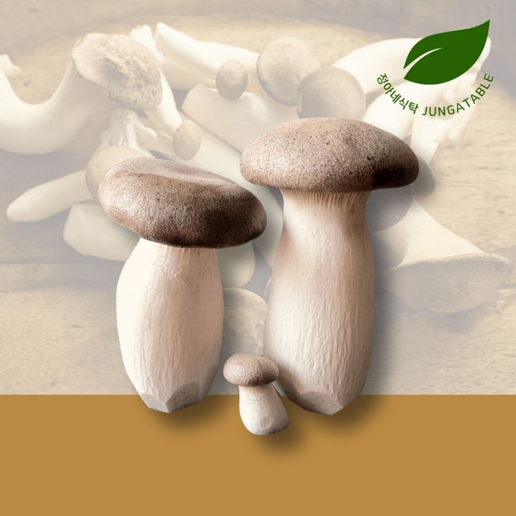 정아네식탁 무농약 GAP 미니 새송이버섯 300g×2팩 | 홈플러스 택배배송